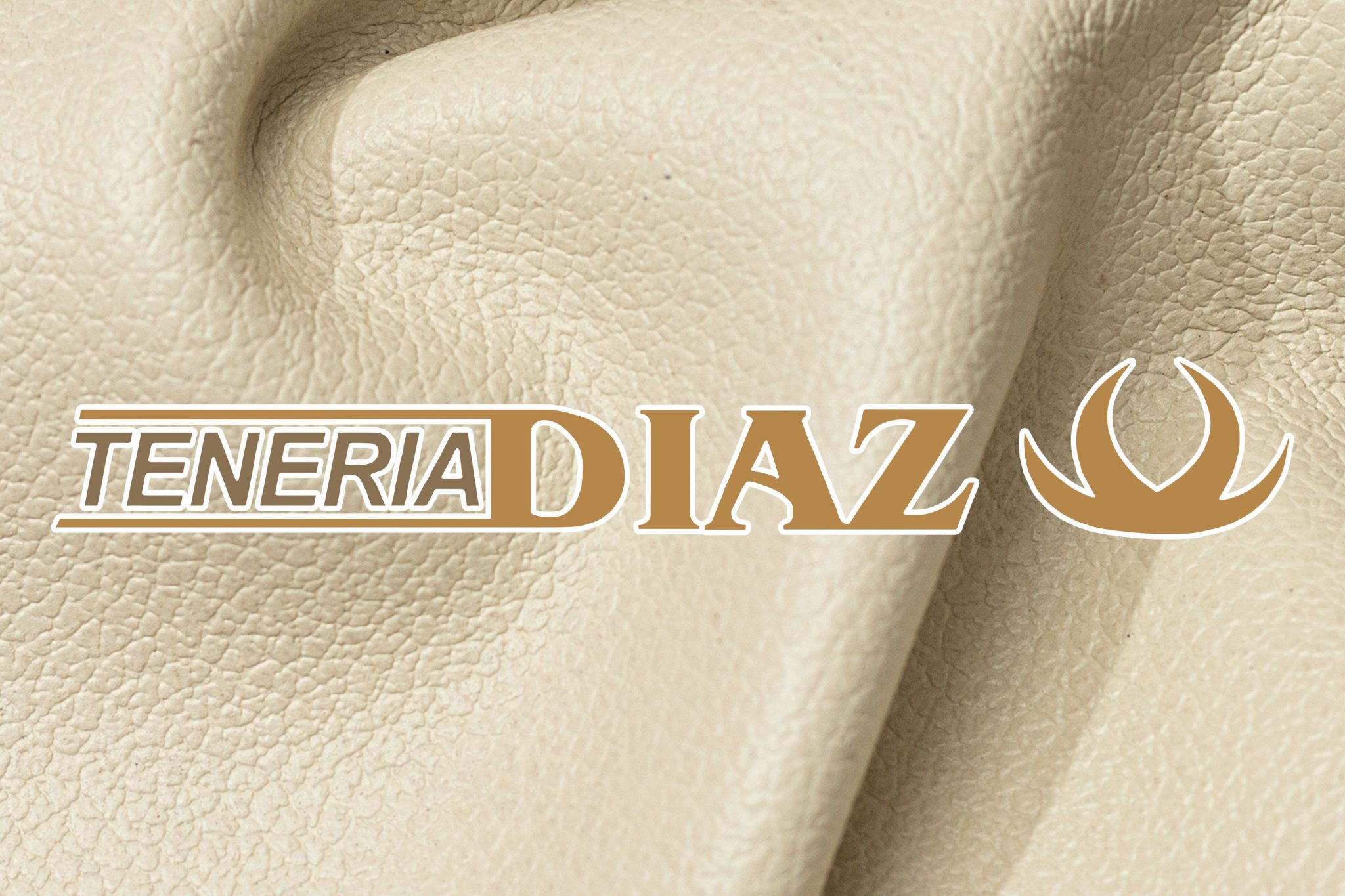 Teneria Diaz – Curtido y Acabado de Cuero y Piel